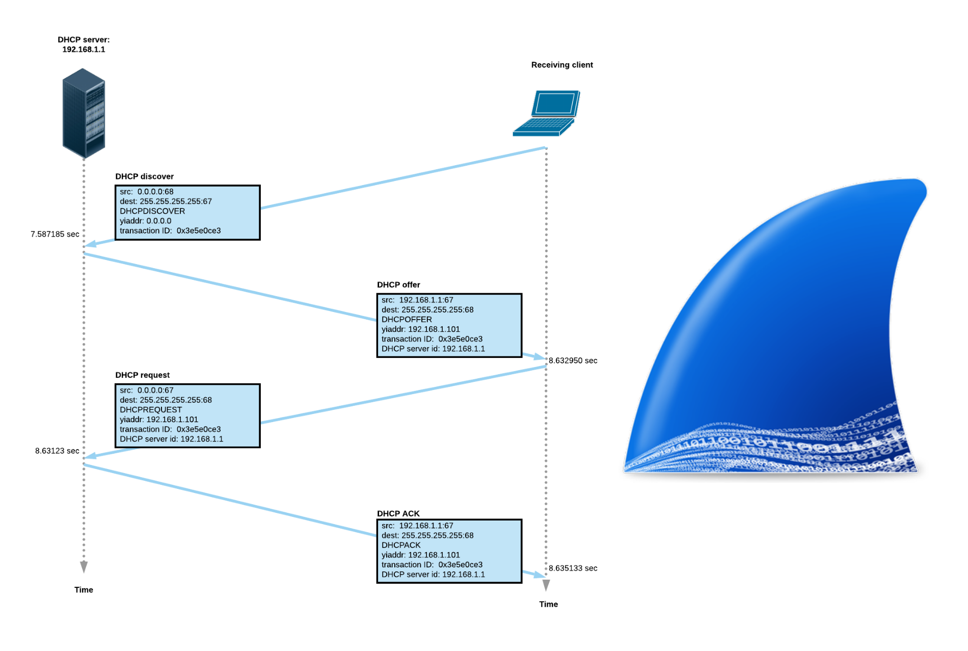 Major Requirements – Sara Kazemi